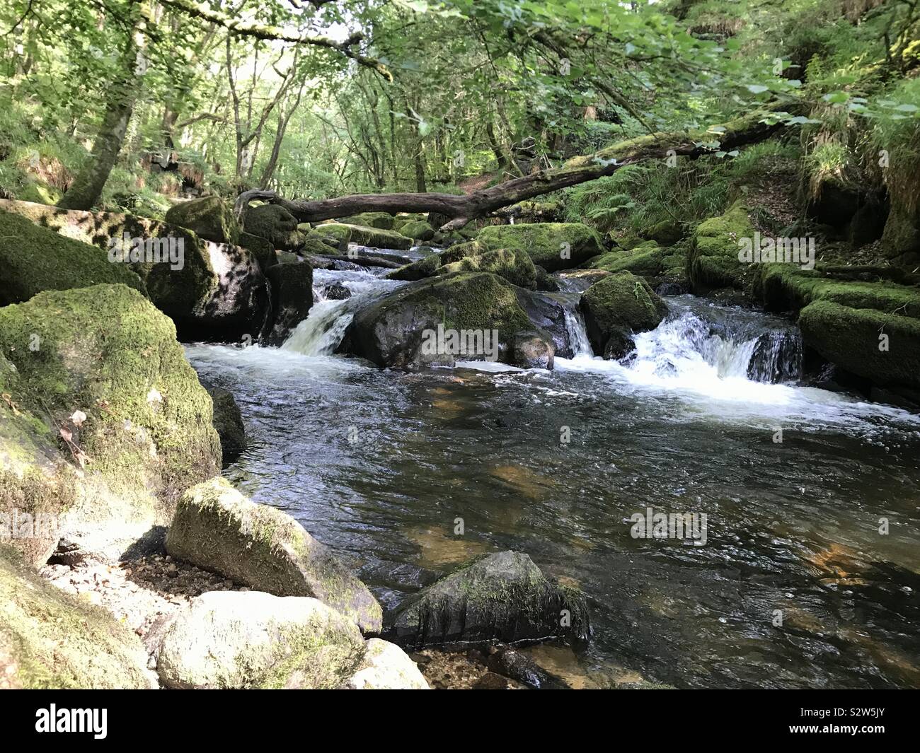 Woods waterfall hi-res stock photography and images - Alamy