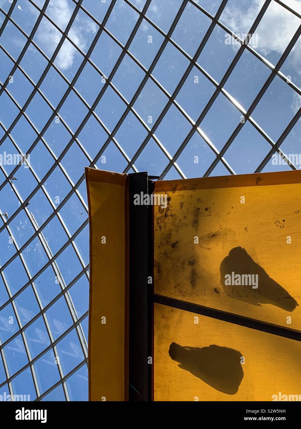 Pigeons on an awning in Cabot Circus Shopping Centre, Bristol Stock ...