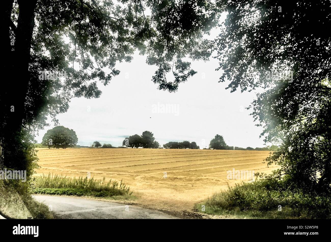 Wiltshire fields hi-res stock photography and images - Alamy