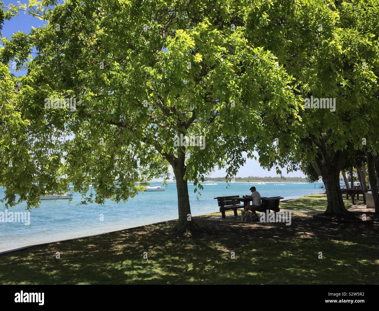 Noosa river hi-res stock photography and images - Alamy