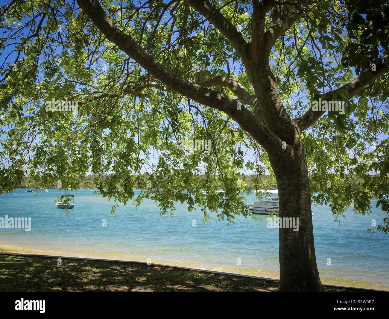 Noosa river hi-res stock photography and images - Alamy