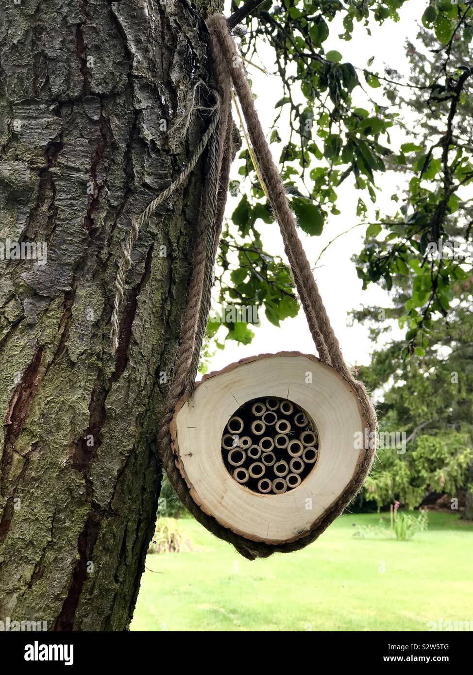 Hive insects hi-res stock photography and images - Alamy