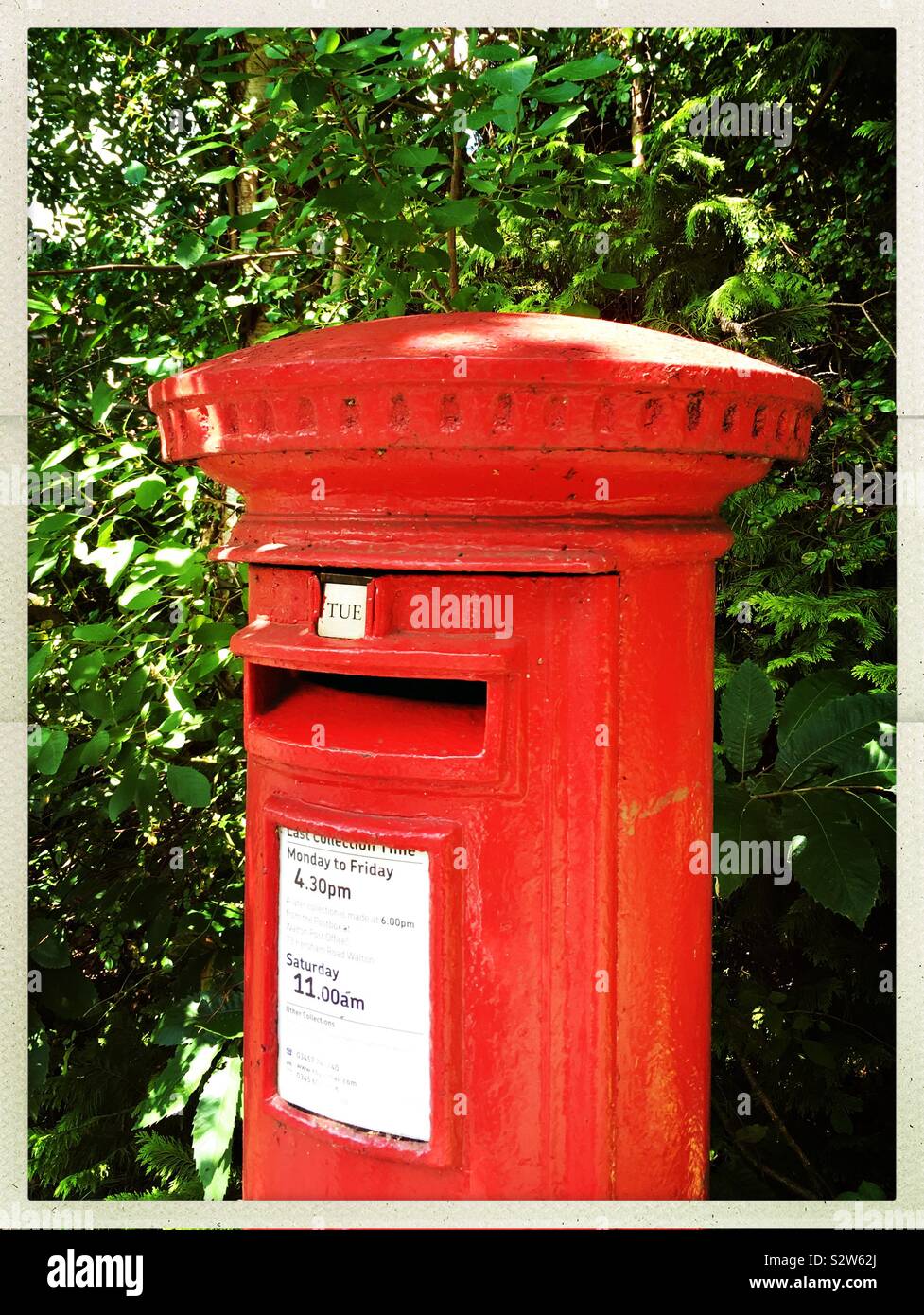 Traditional red pillar box, with a background of green leaves, in ...