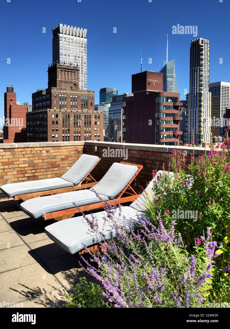 Luxury rooftop sundeck in the Murray Hill neighborhood of Manhattan ...