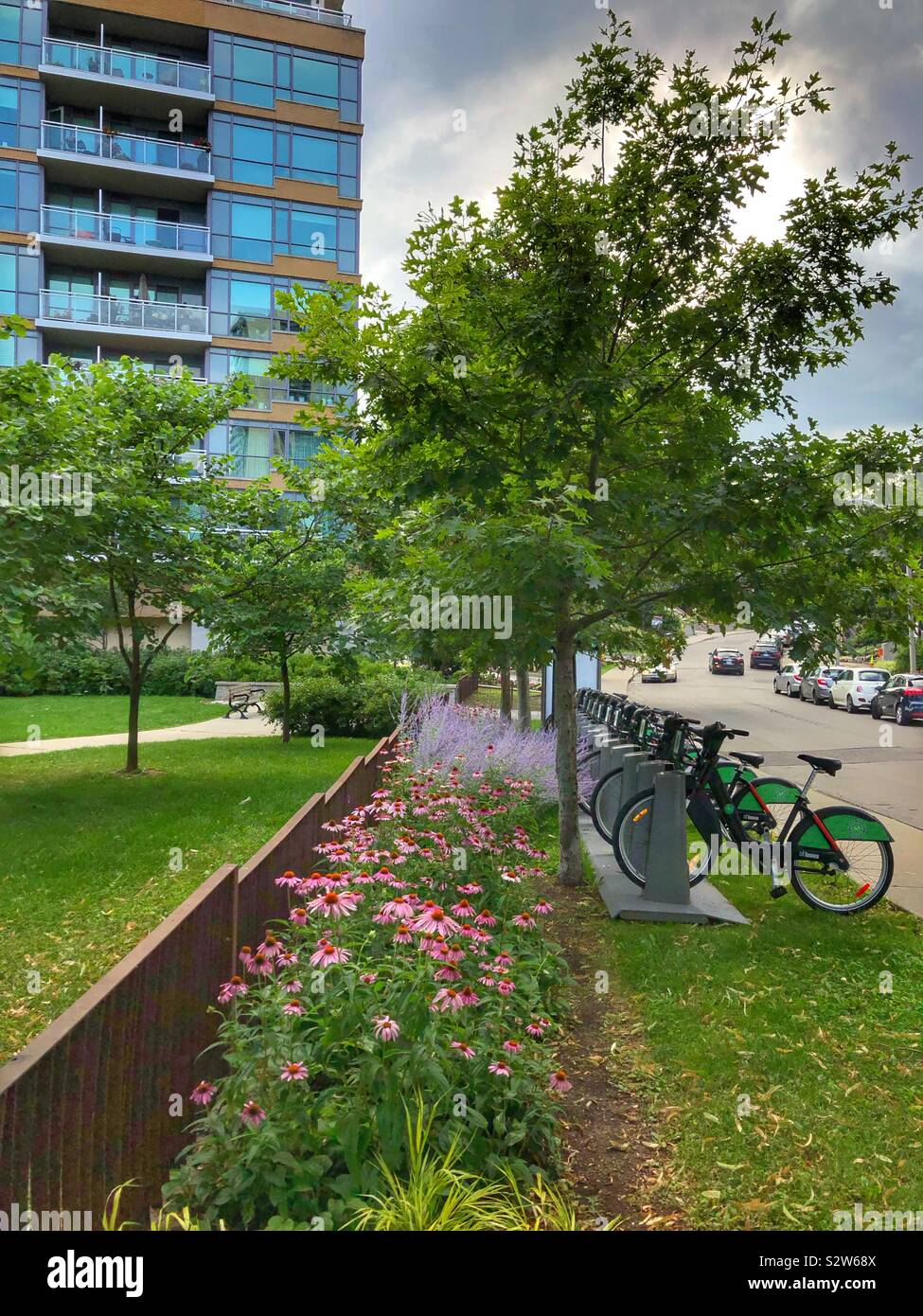 Toronto greenery hi-res stock photography and images - Alamy