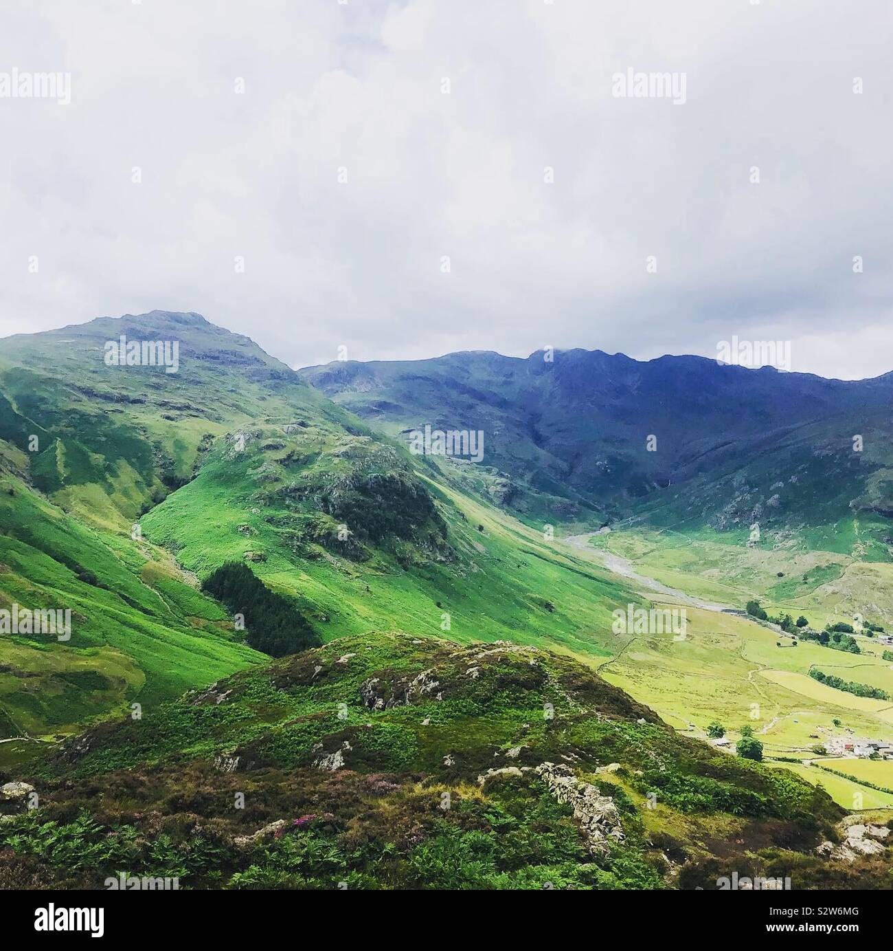 Dayz hi-res stock photography and images - Alamy