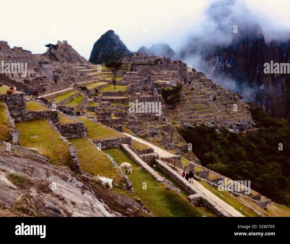 Machu Picchu mountain in South America Stock Photo - Alamy