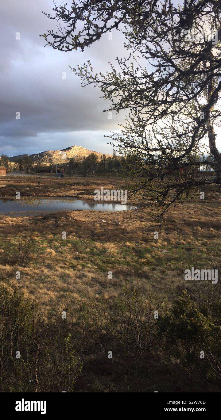 Rauland hi-res stock photography and images - Alamy