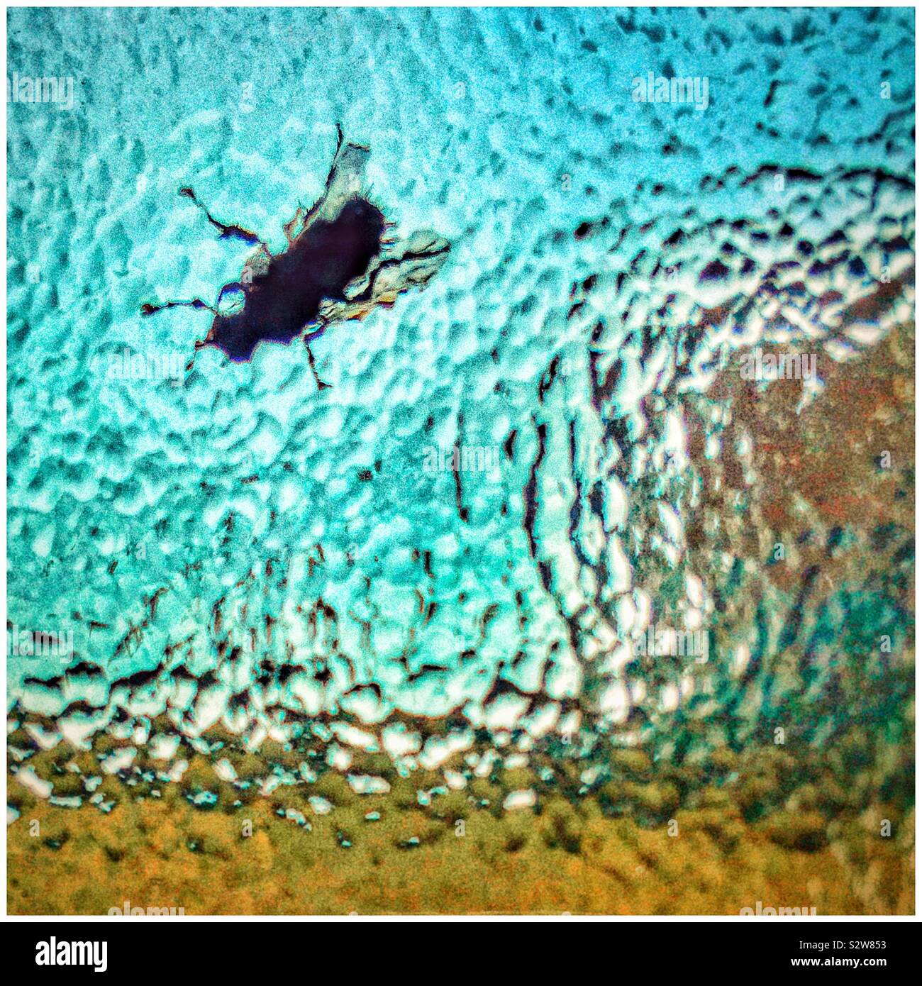 Fly seen through a frosted glass window Stock Photo - Alamy