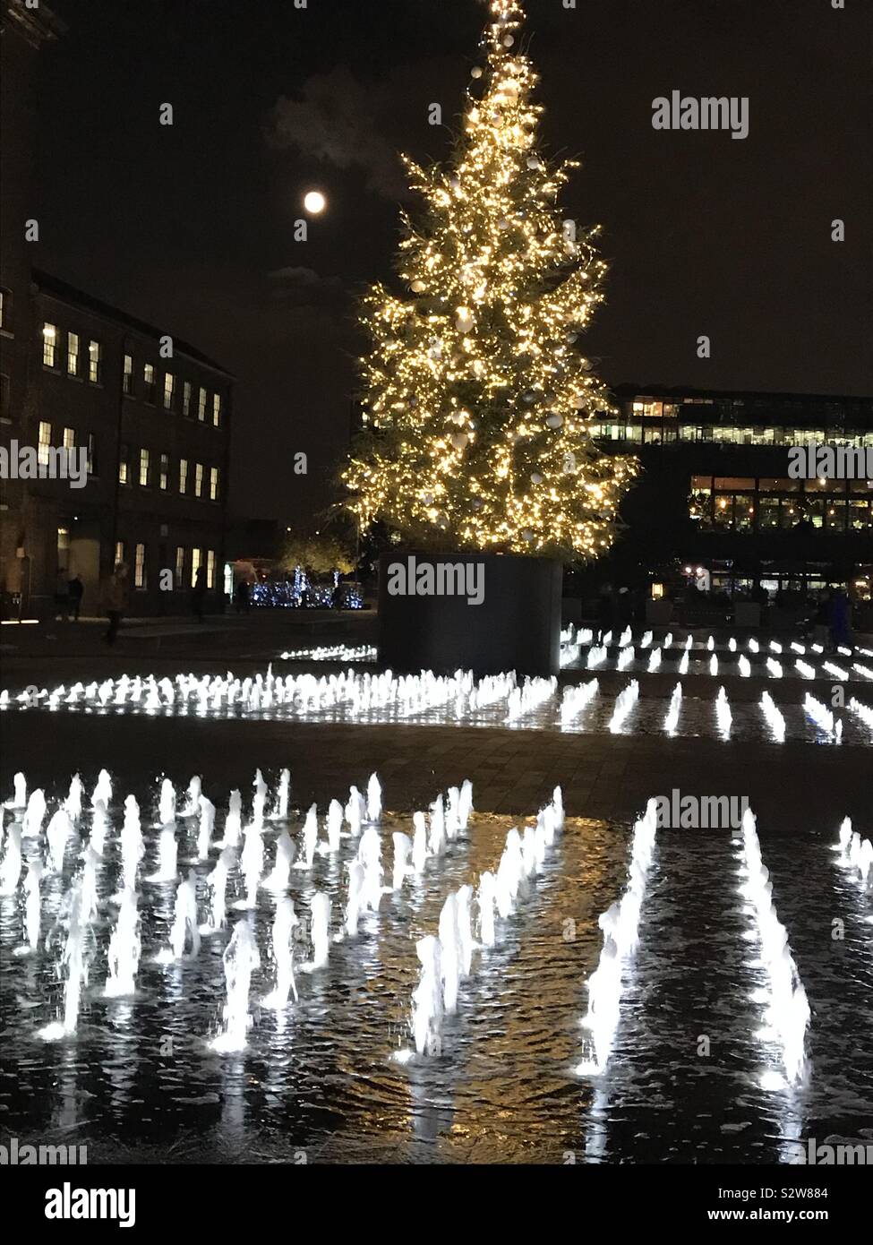 Lit up Christmas tree at night surrounded by water fountains Stock ...