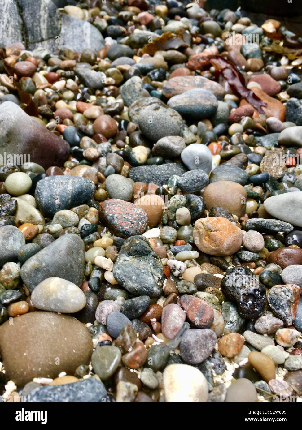 Pebbles on beach Stock Photo - Alamy