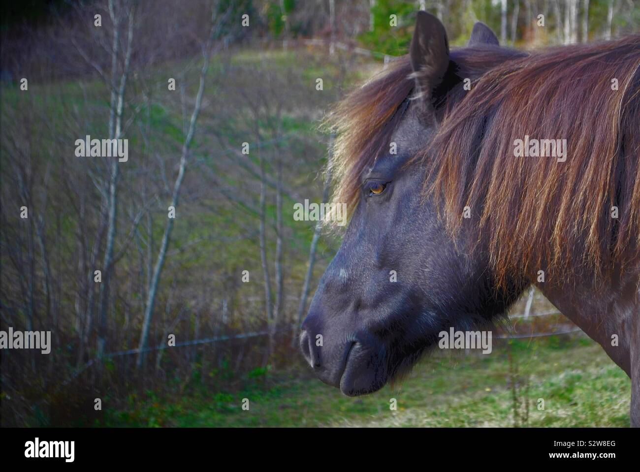 Peace and beauty hi-res stock photography and images - Alamy