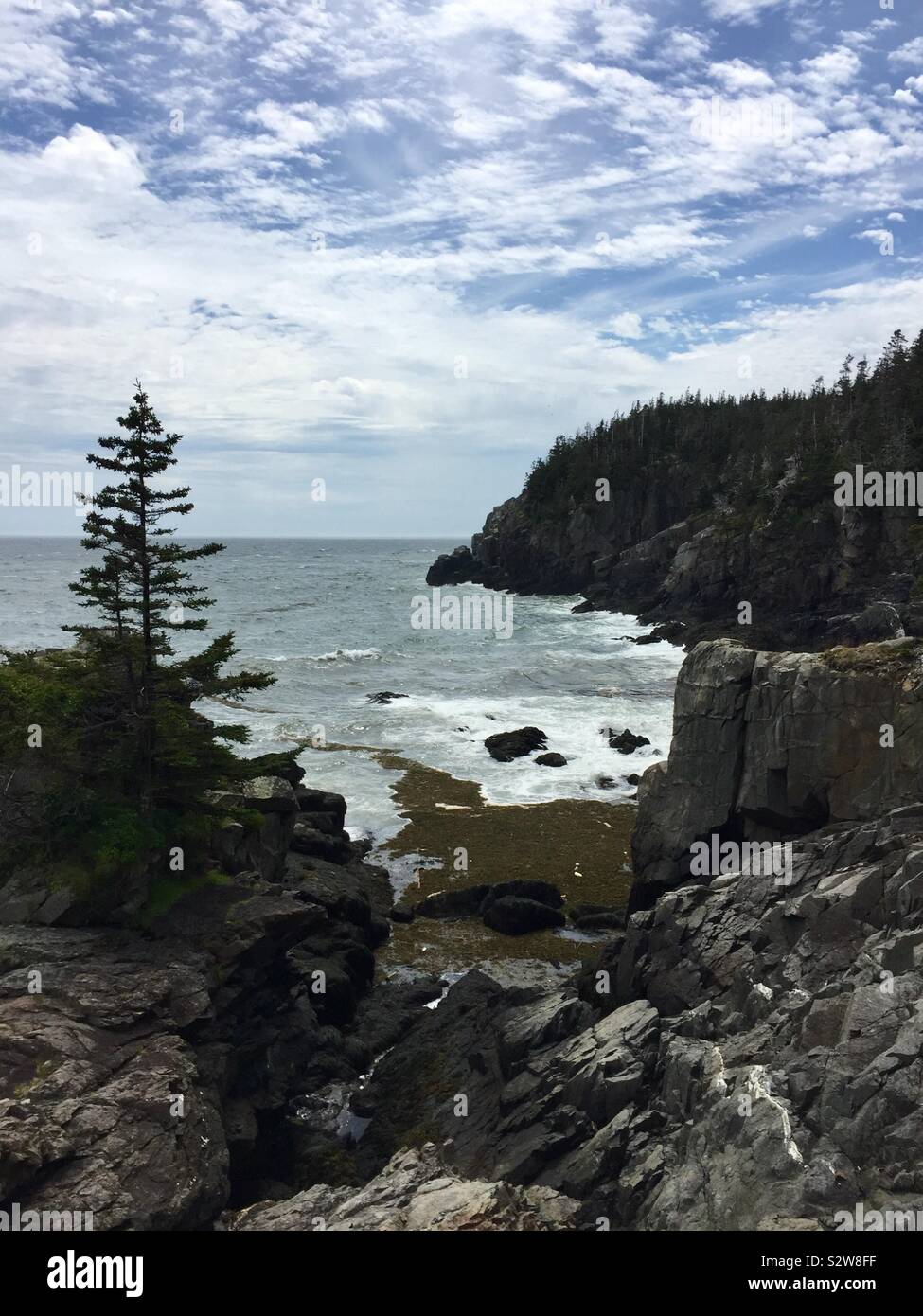 Ocean bluffs at Quoddy Head State Park, Lubec, Maine Stock Photo - Alamy