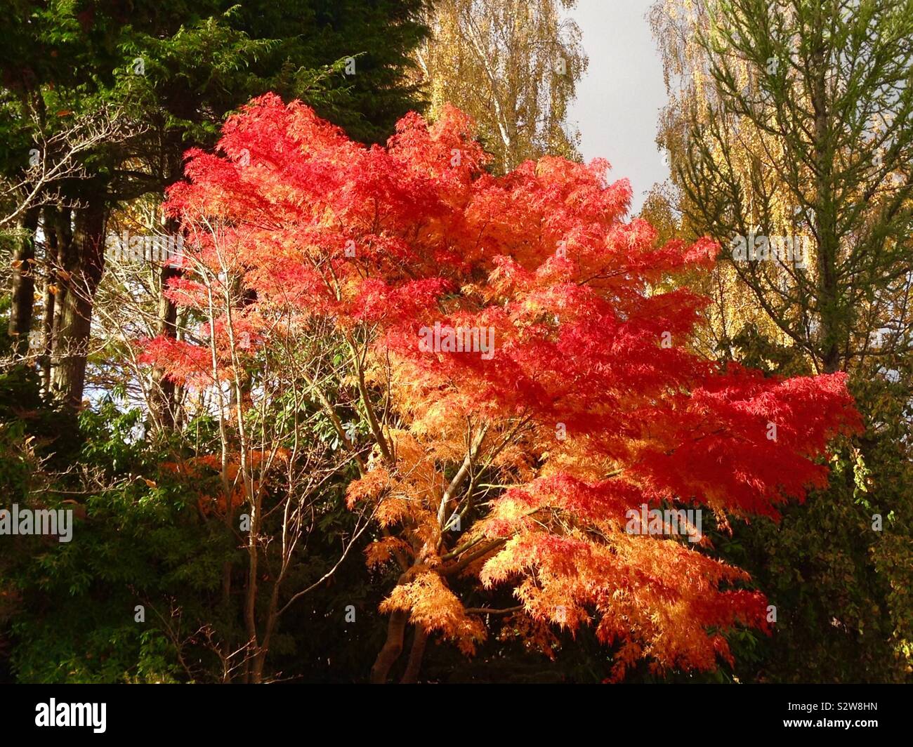 Bright flame hi-res stock photography and images - Alamy