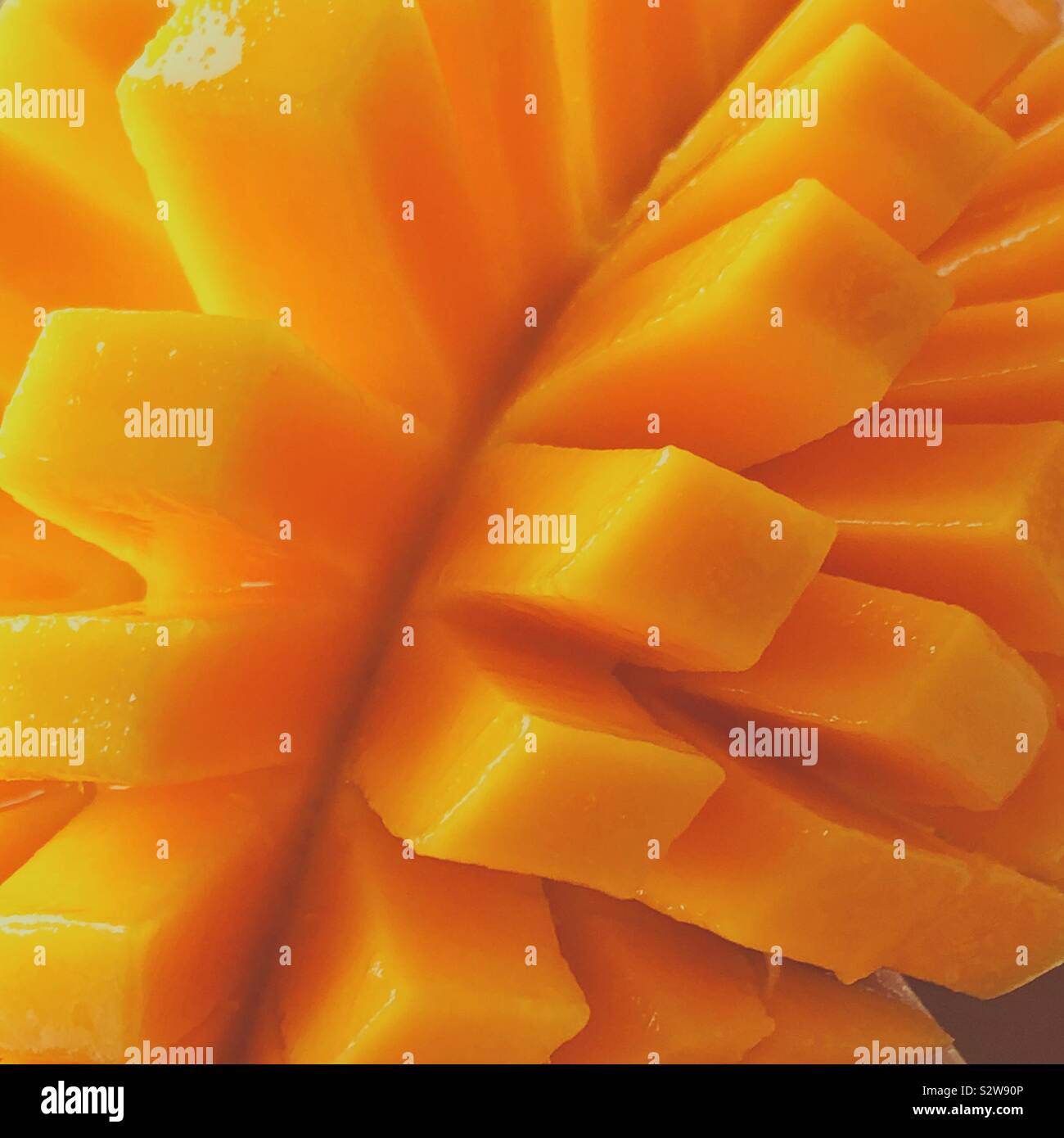 Closeup of a mango cut the traditional way in bite size squares for ...