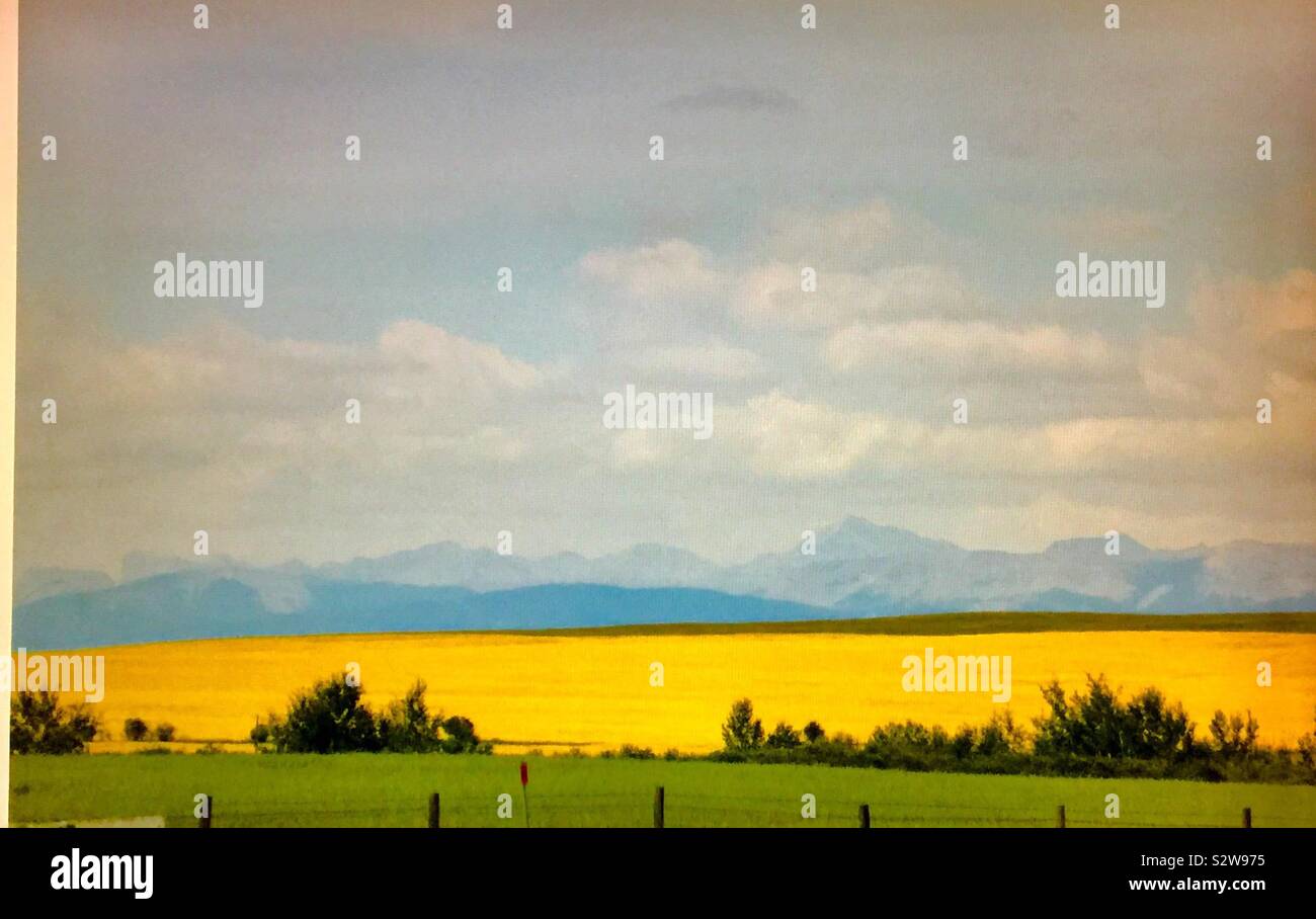 Agriculture in Alberta , Canada, canola field, Canadian Rockies Stock ...