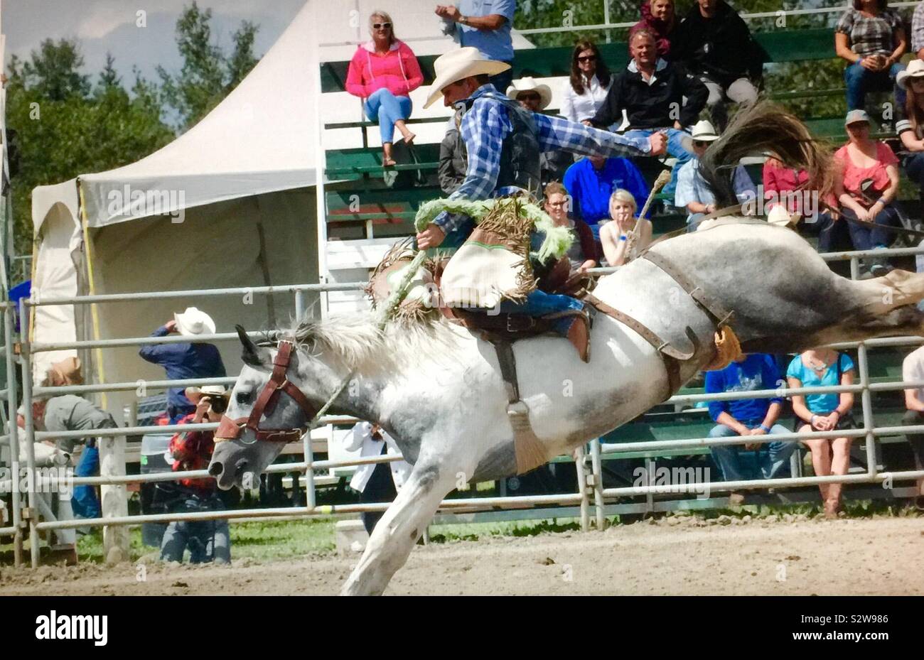 Bucking horses hi-res stock photography and images - Alamy