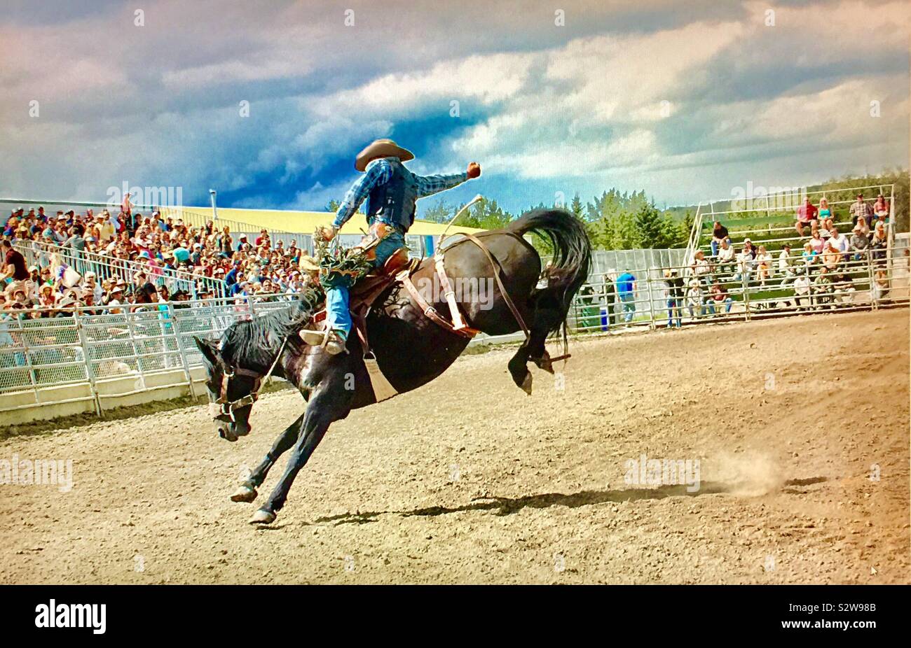 Bucking horses hi-res stock photography and images - Alamy