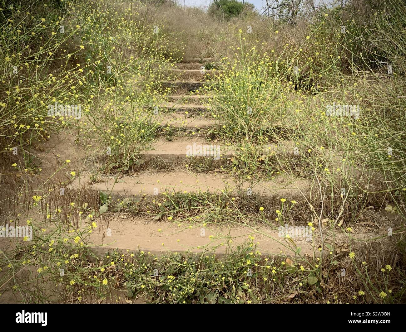 Path rising up hi-res stock photography and images - Alamy