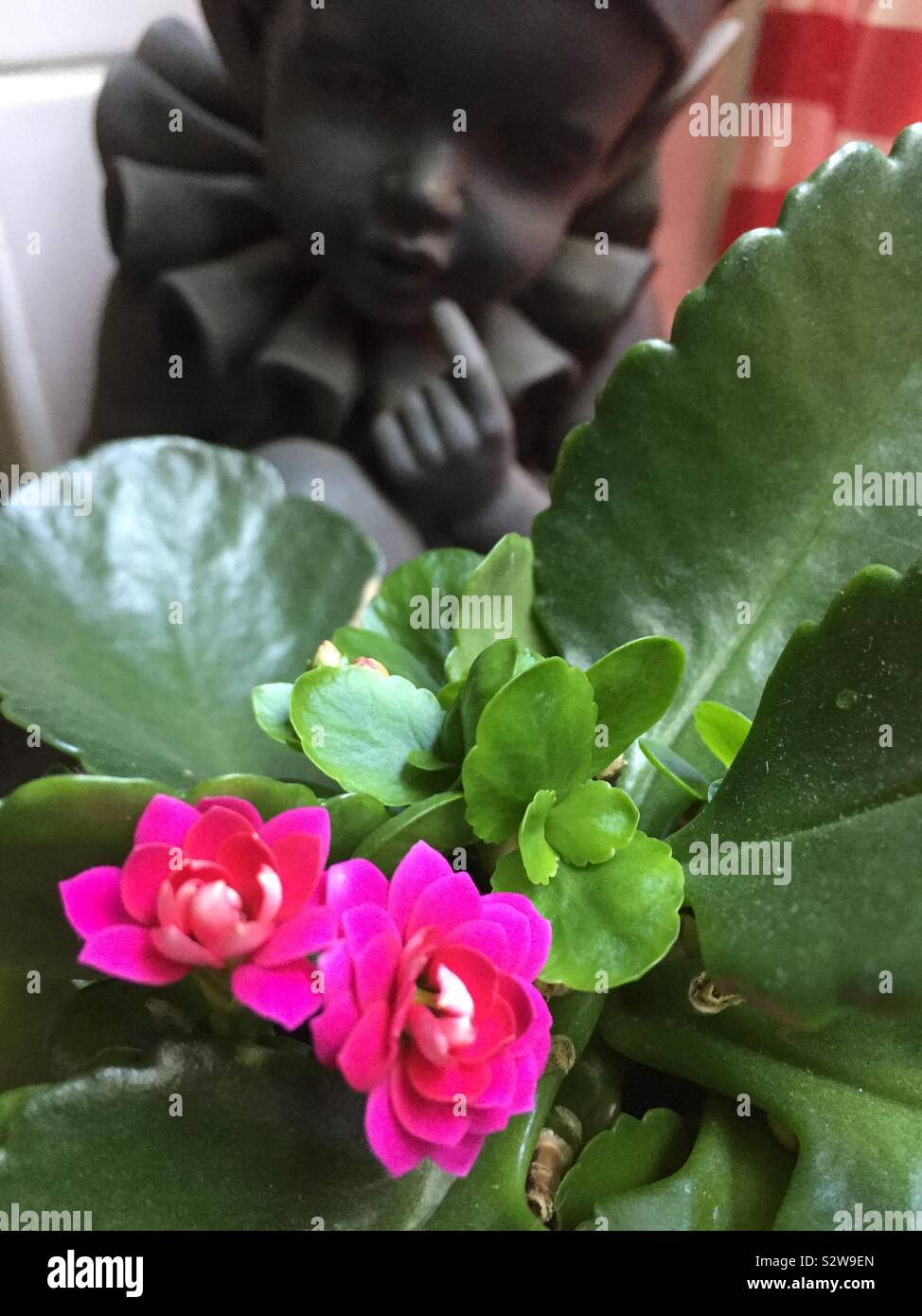 Imp fairy hi-res stock photography and images - Alamy