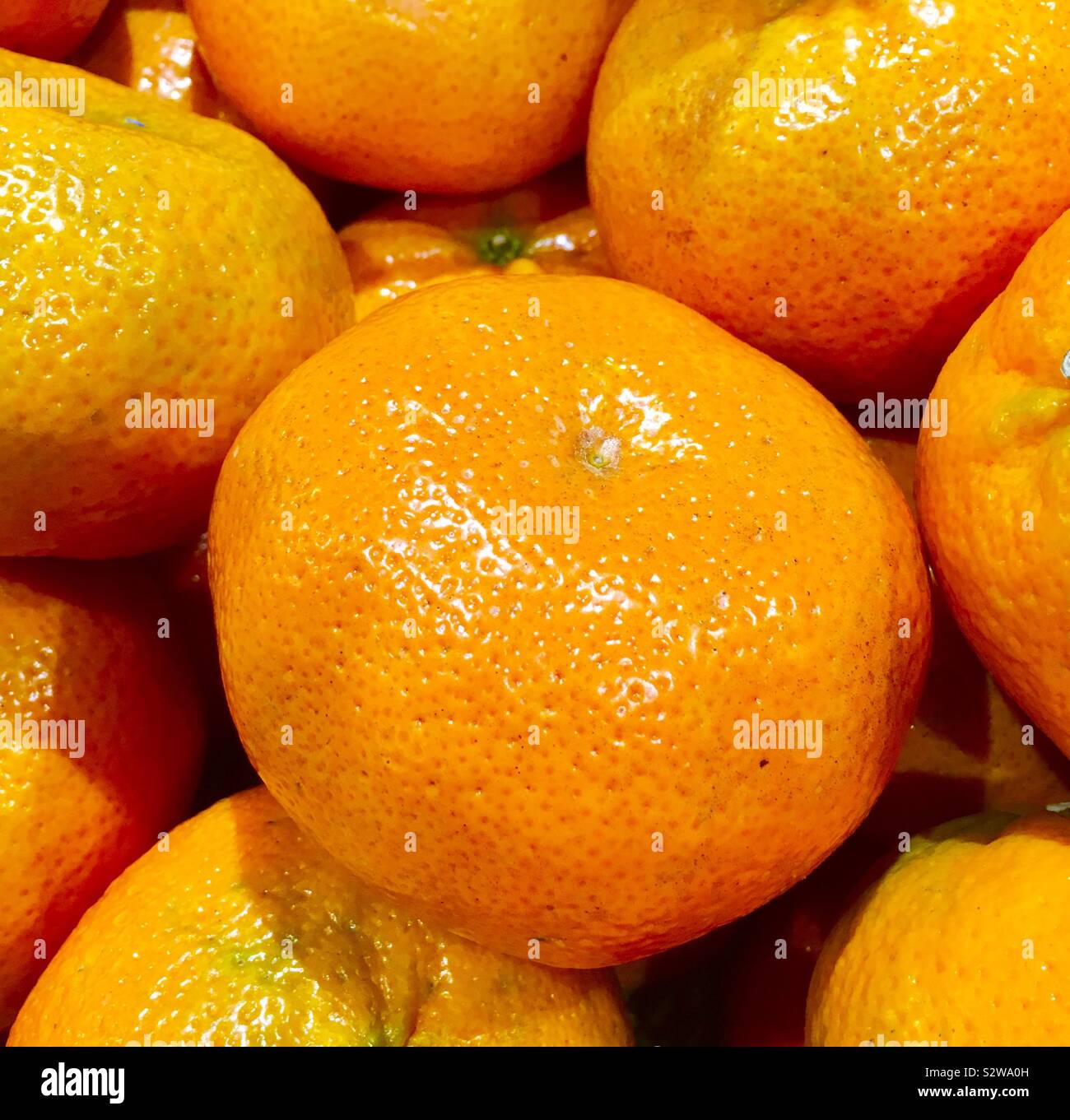 Special sweet and fresh orange Stock Photo - Alamy