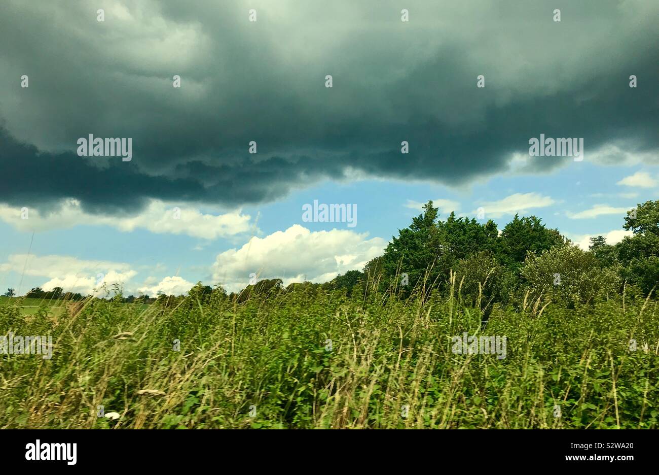 Stormy sky uk landscape woodland hi-res stock photography and images ...