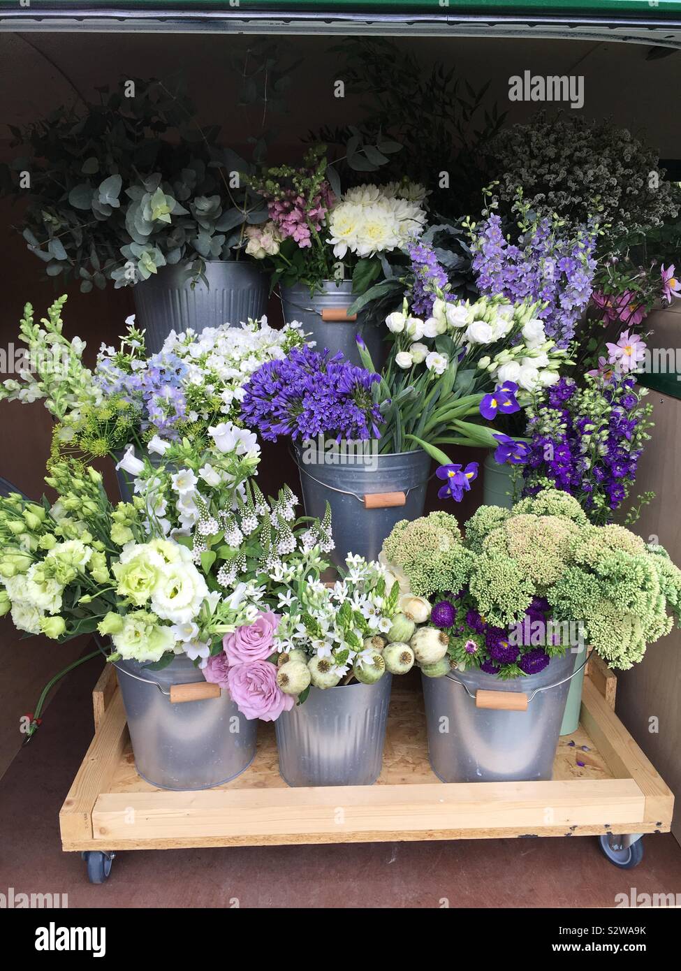 Lovely blooms hi-res stock photography and images - Alamy