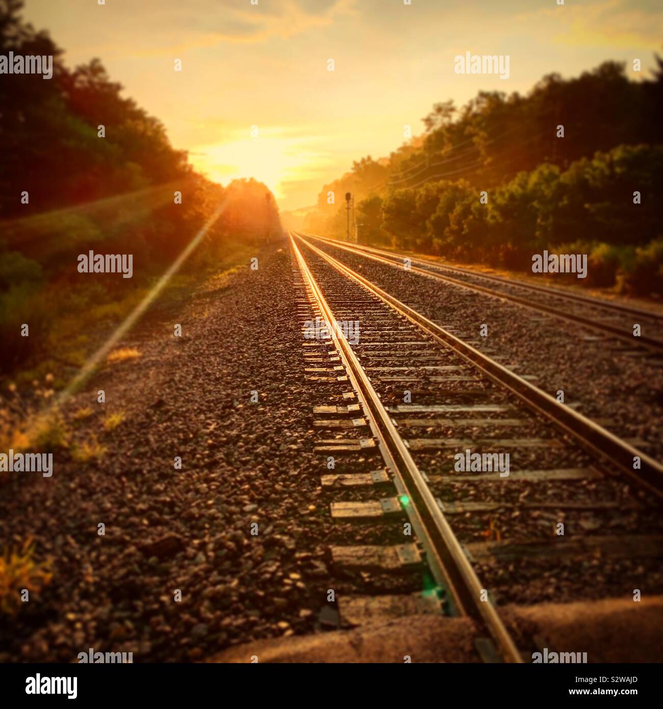 Train sun set hi-res stock photography and images - Alamy