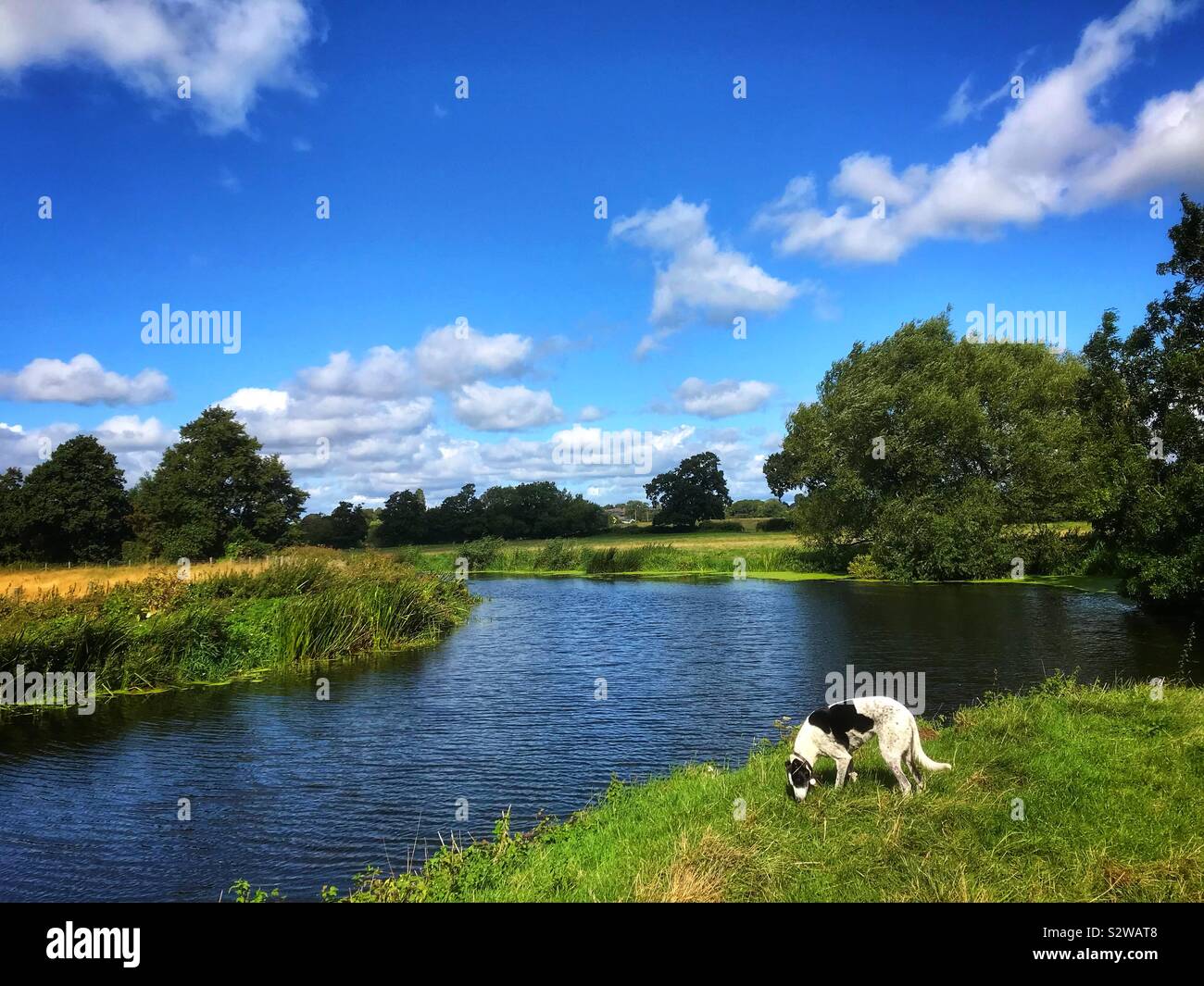 River Stour Dorset Stock Photo - Alamy