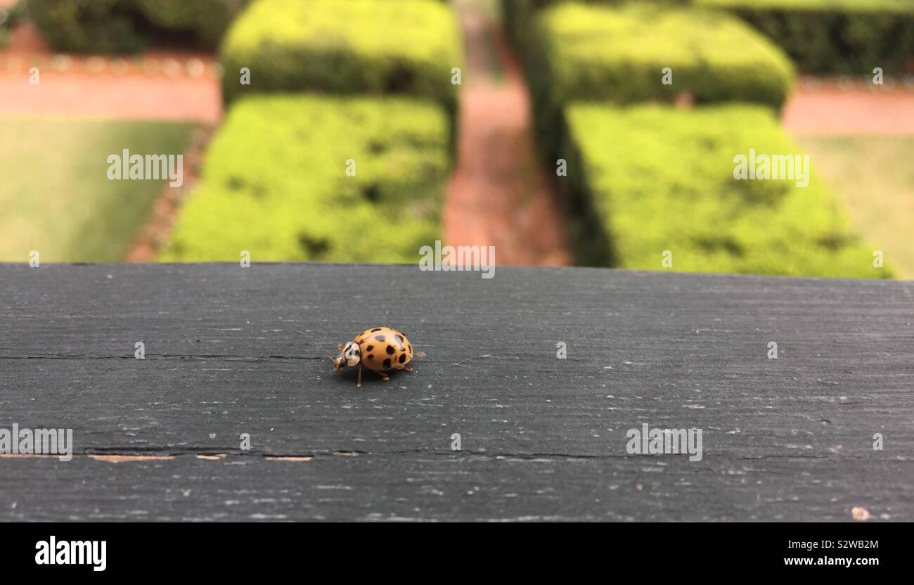 Just chillin hi-res stock photography and images - Alamy