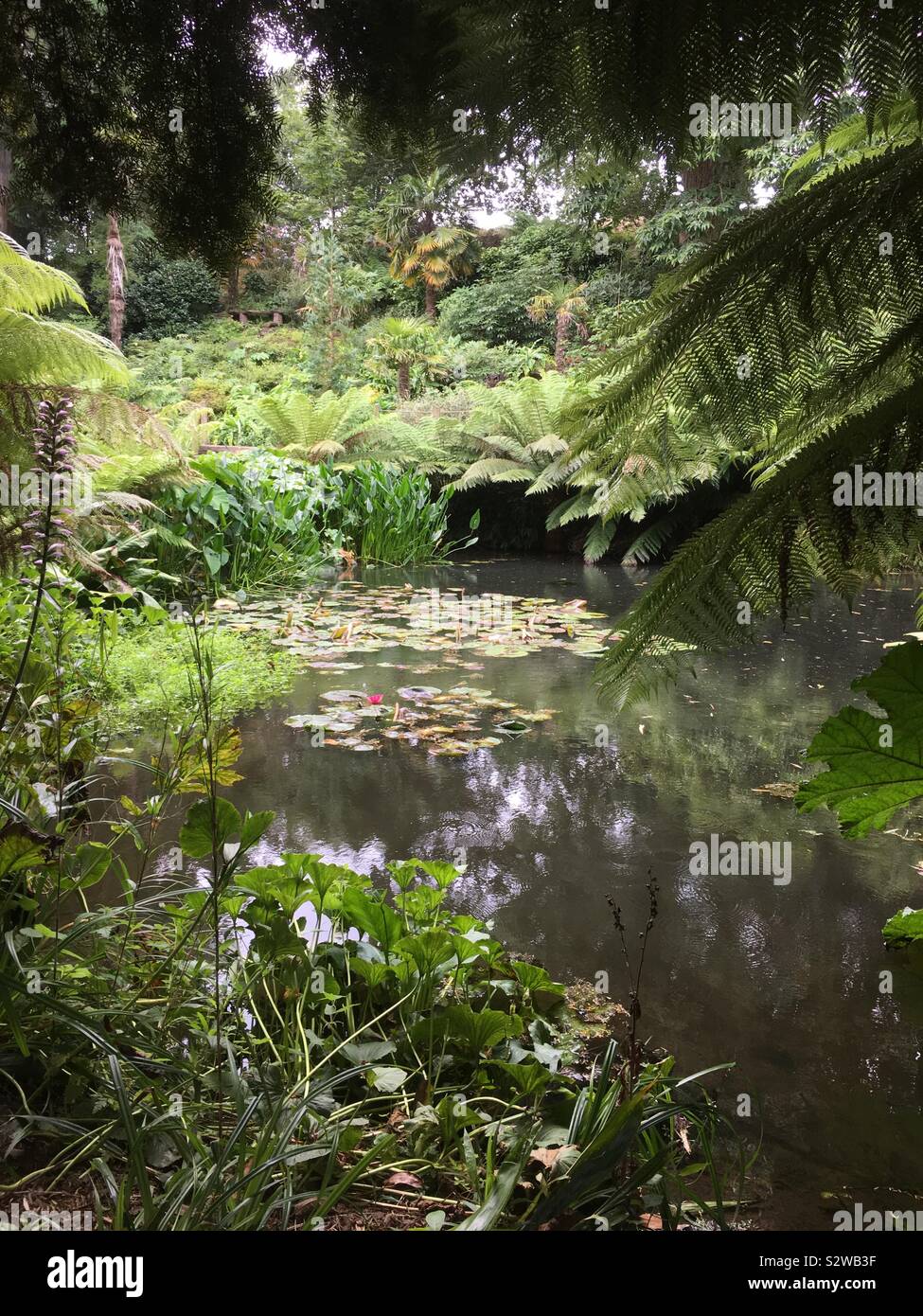 Jungle gardens hi-res stock photography and images - Alamy