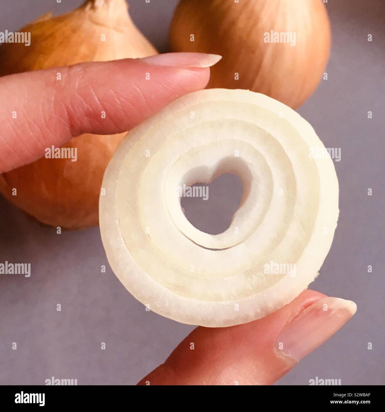 Hand holding heart shaped onion rings with onions in background Stock ...