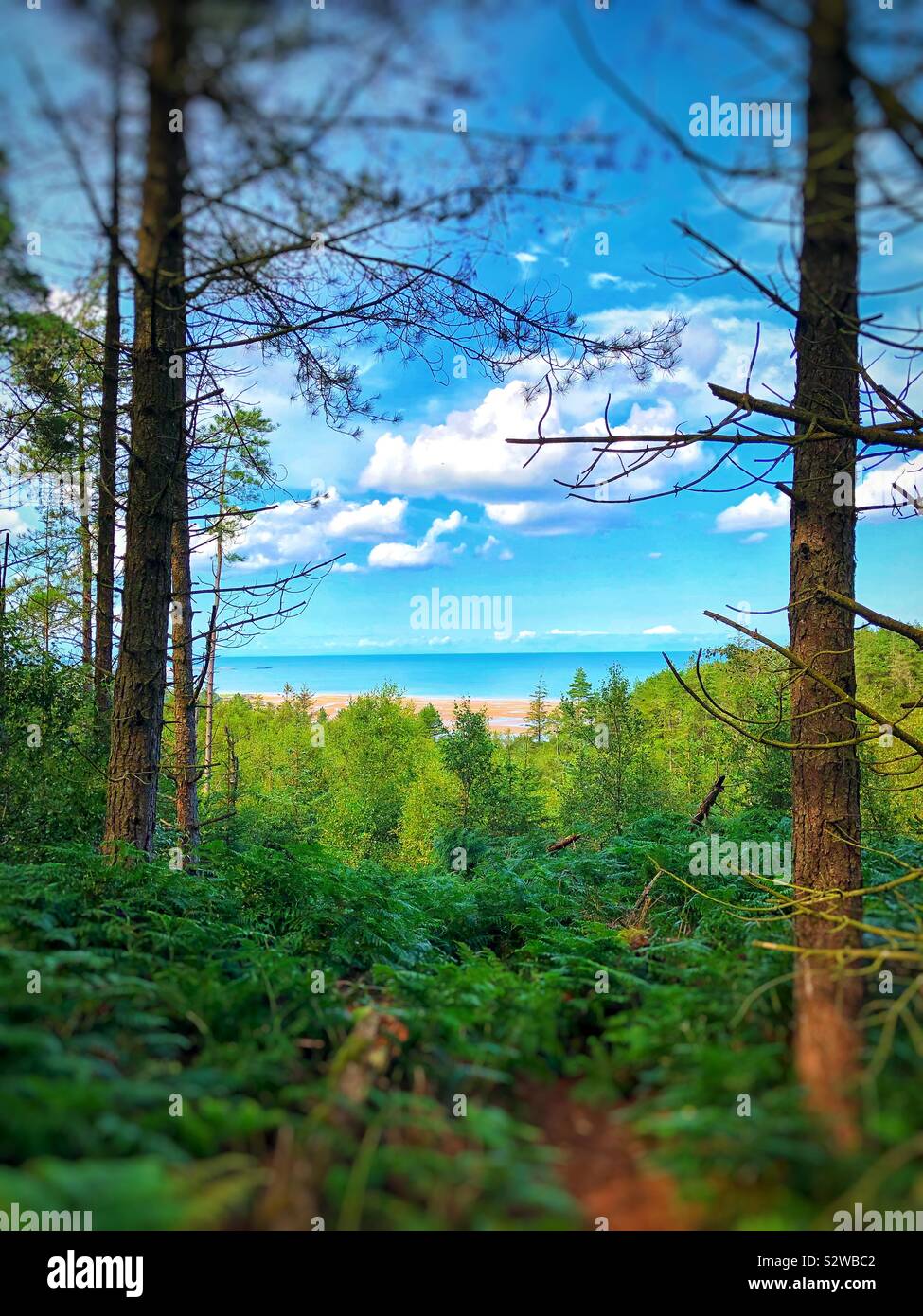 Distant shores hi-res stock photography and images - Alamy