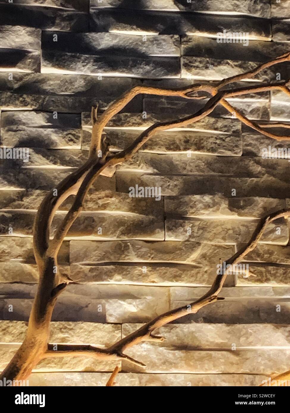 Creepy tree branches casting eerie shadows against a stone wall Stock ...