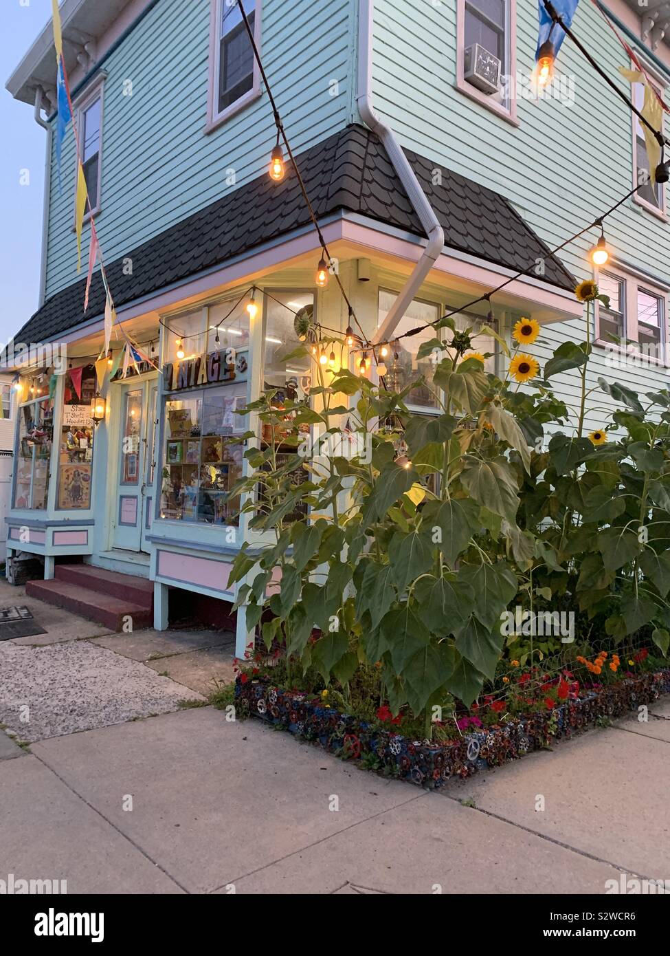 Quaint Storefront with a sunflower garden Stock Photo - Alamy