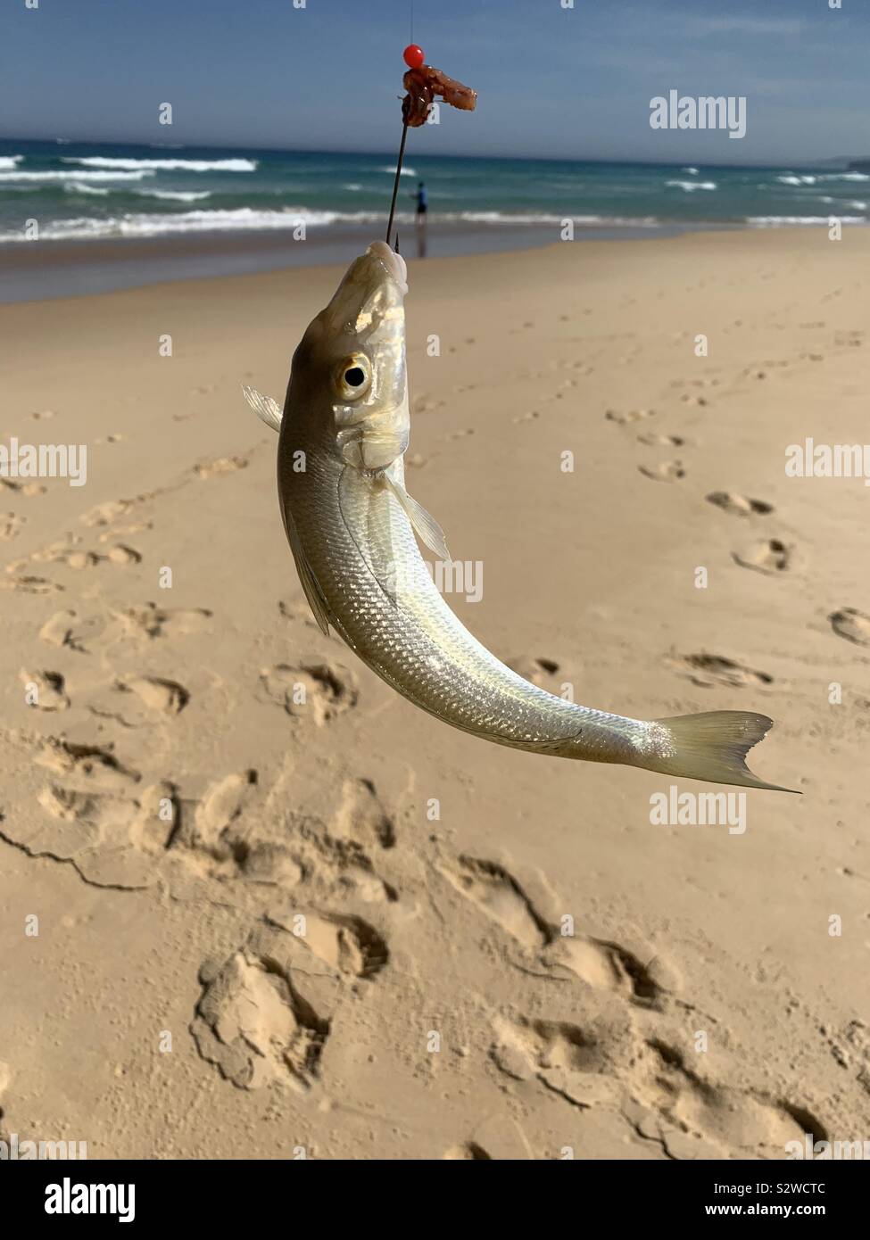 Beach Fishing Whitting Stock Photo - Alamy