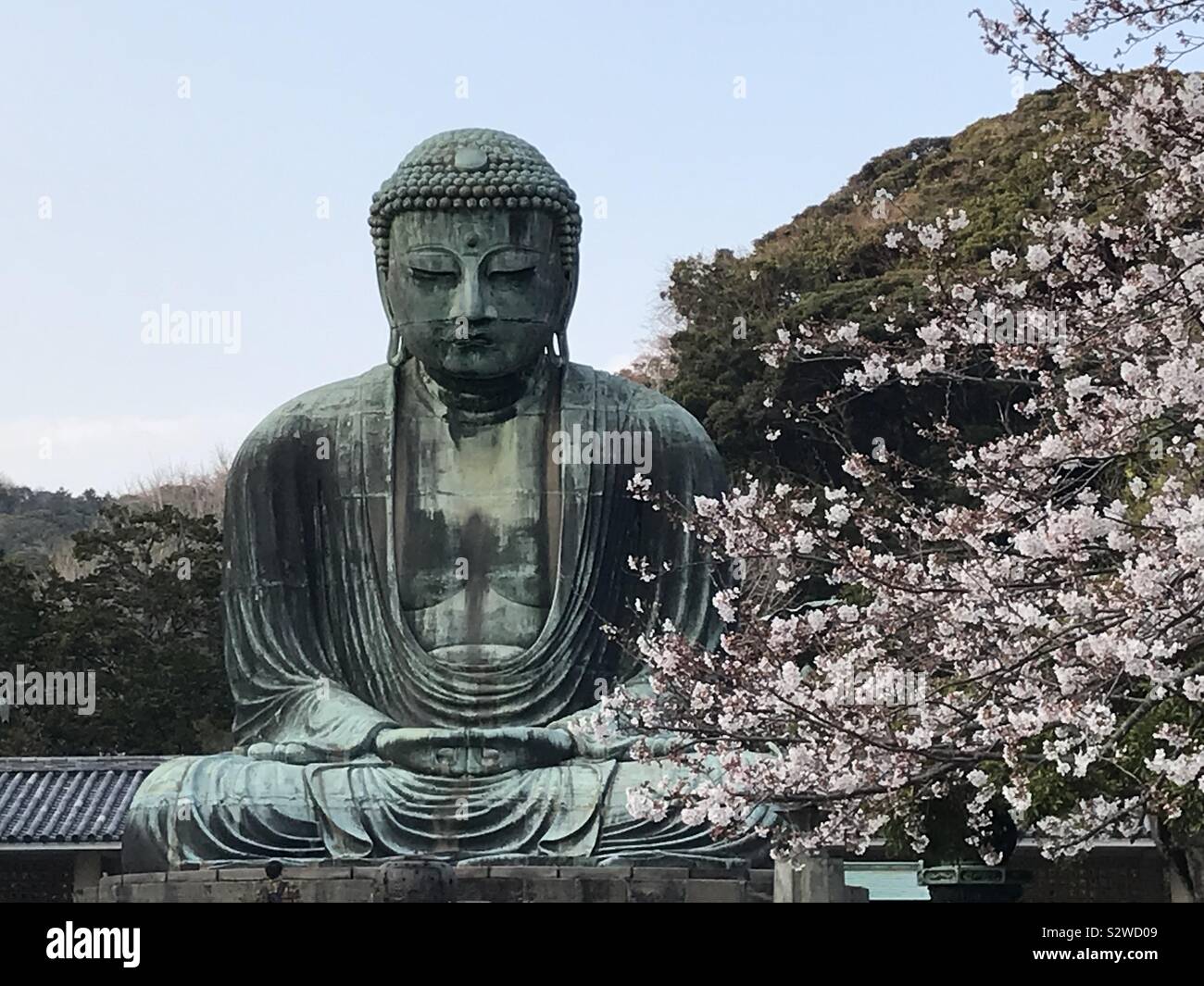 Spring buddha hi-res stock photography and images - Alamy