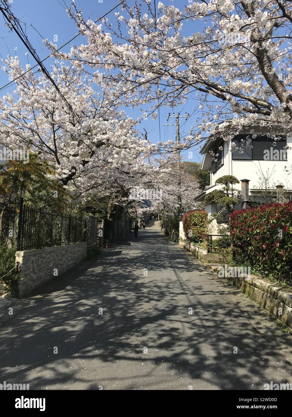 Japan sakura spring hi-res stock photography and images - Alamy