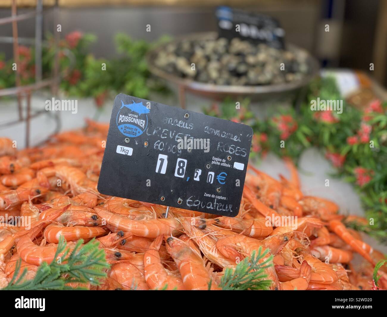 Shrimp on market stall in France Stock Photo - Alamy