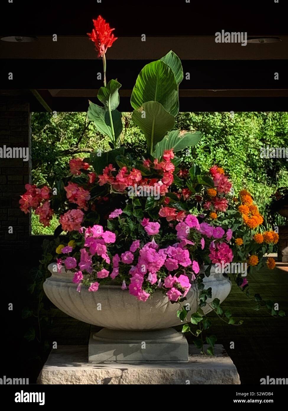 Planter urn overflowing with pink geraniums, orange zinnias, and other ...
