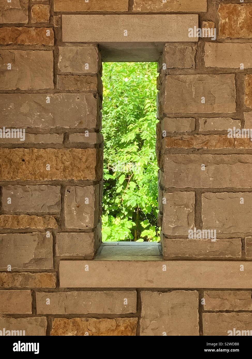 Thru a window hi-res stock photography and images - Alamy