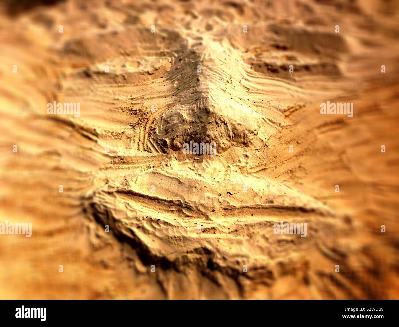 Sand nose hi-res stock photography and images - Alamy