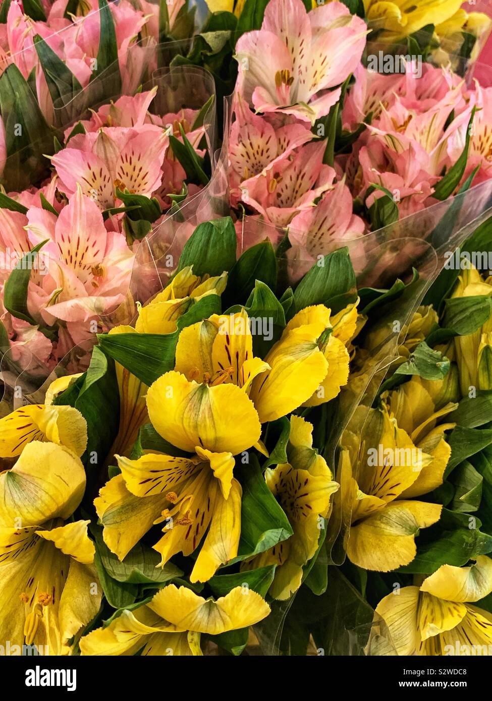 Fresh bouquets hi-res stock photography and images - Alamy