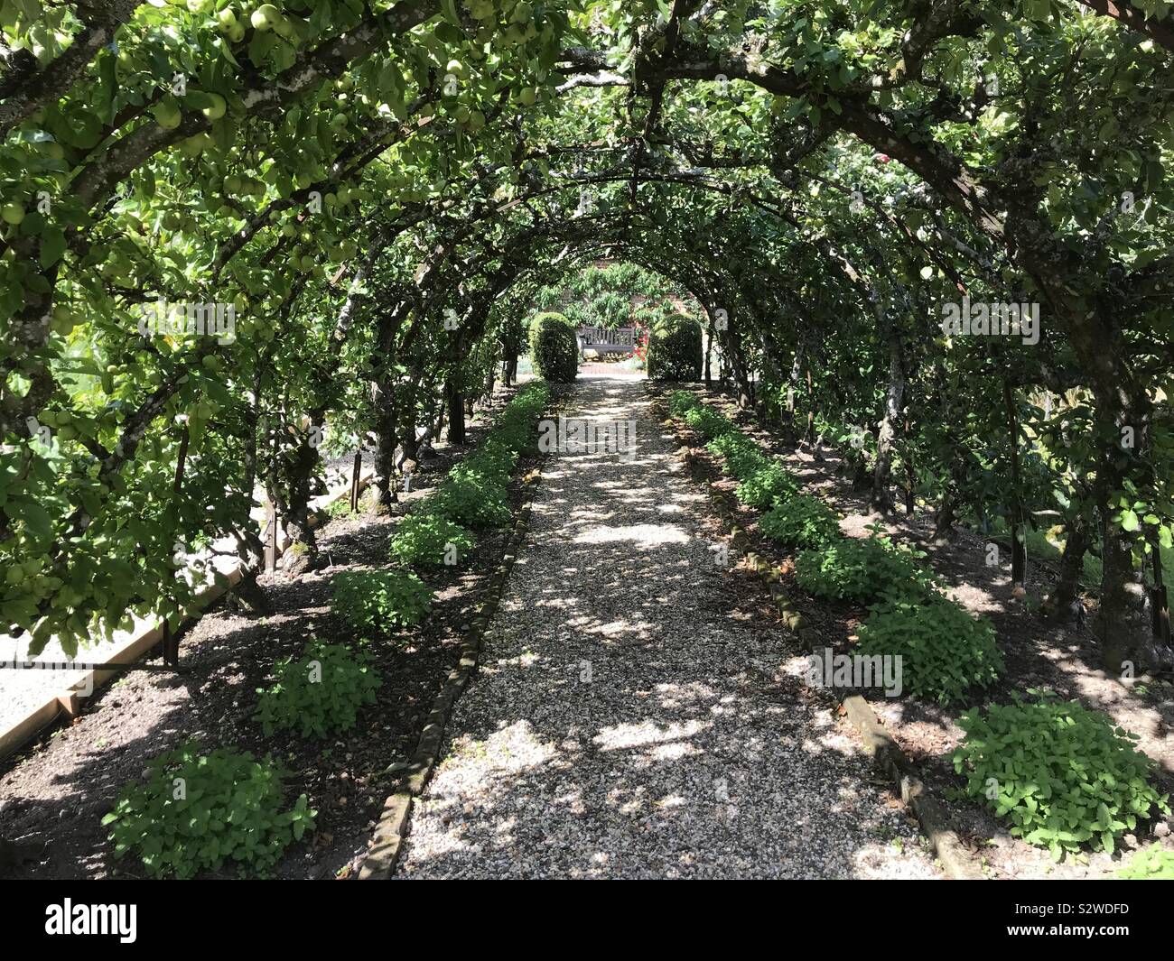 Green light arch hi-res stock photography and images - Alamy