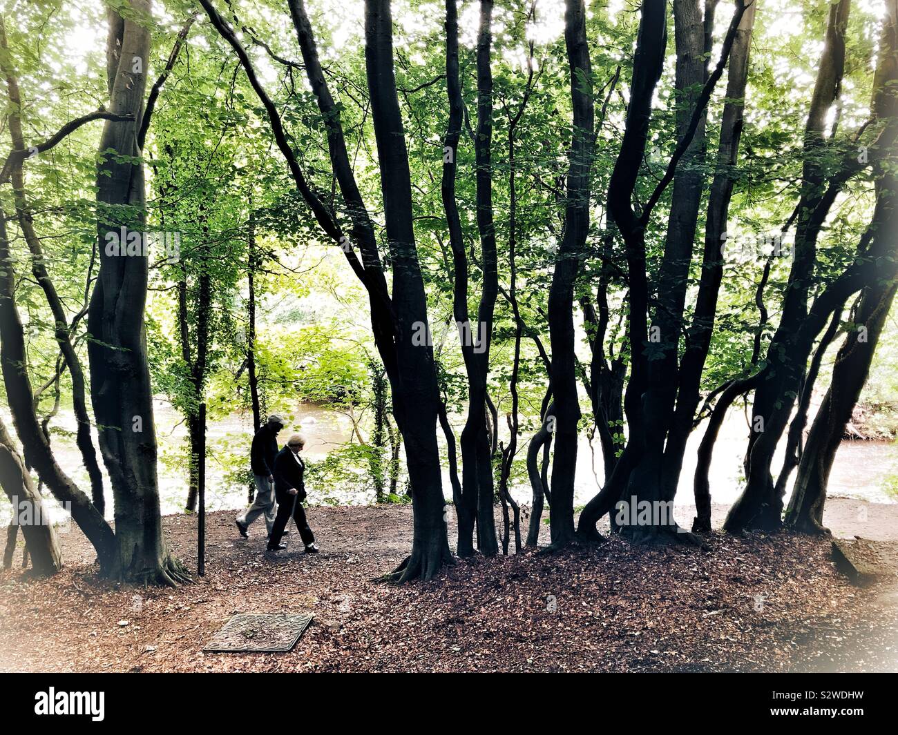 Rambler ramblers rambling walking walker walkers hi-res stock ...