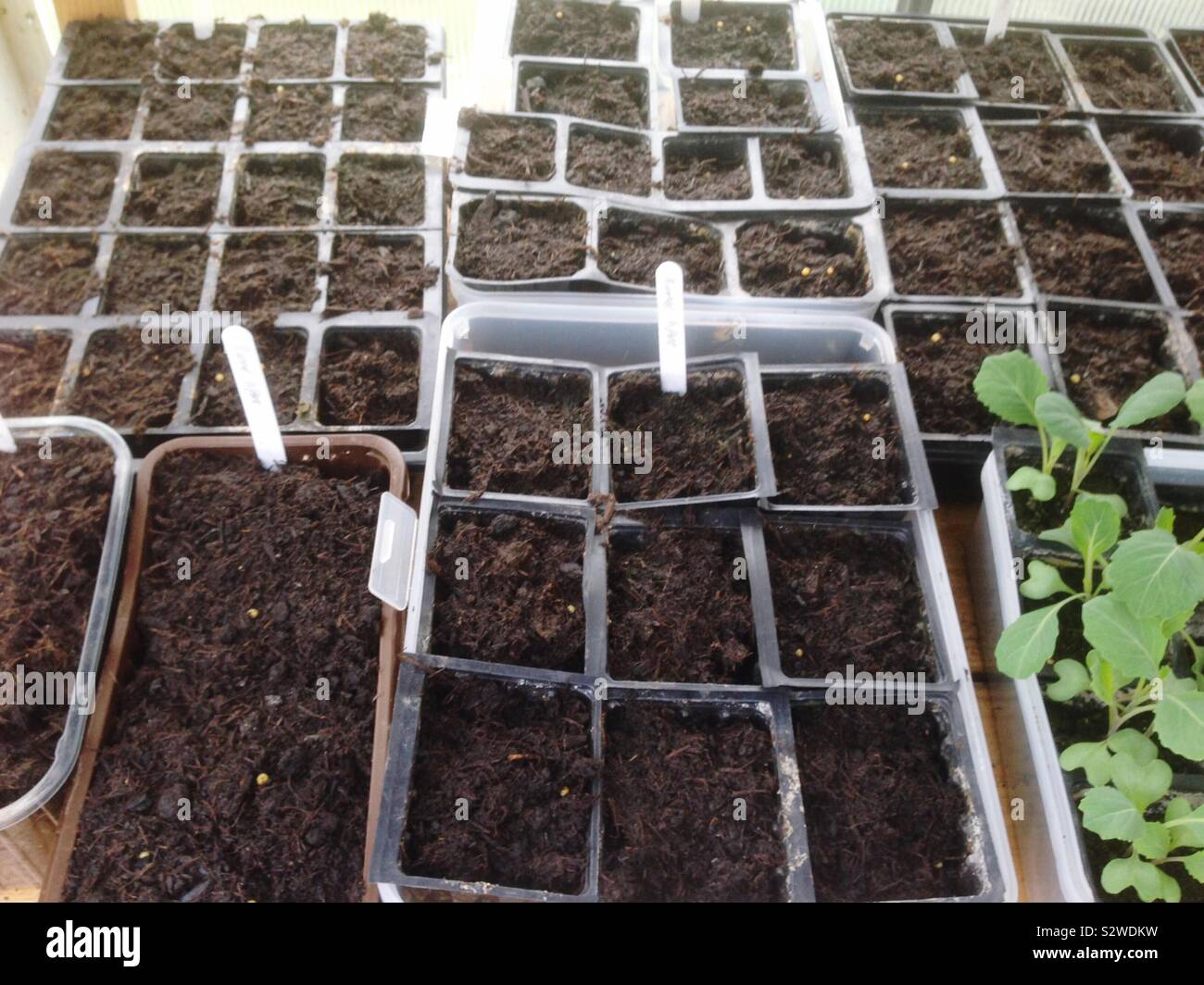 Seeds planting hi-res stock photography and images - Alamy