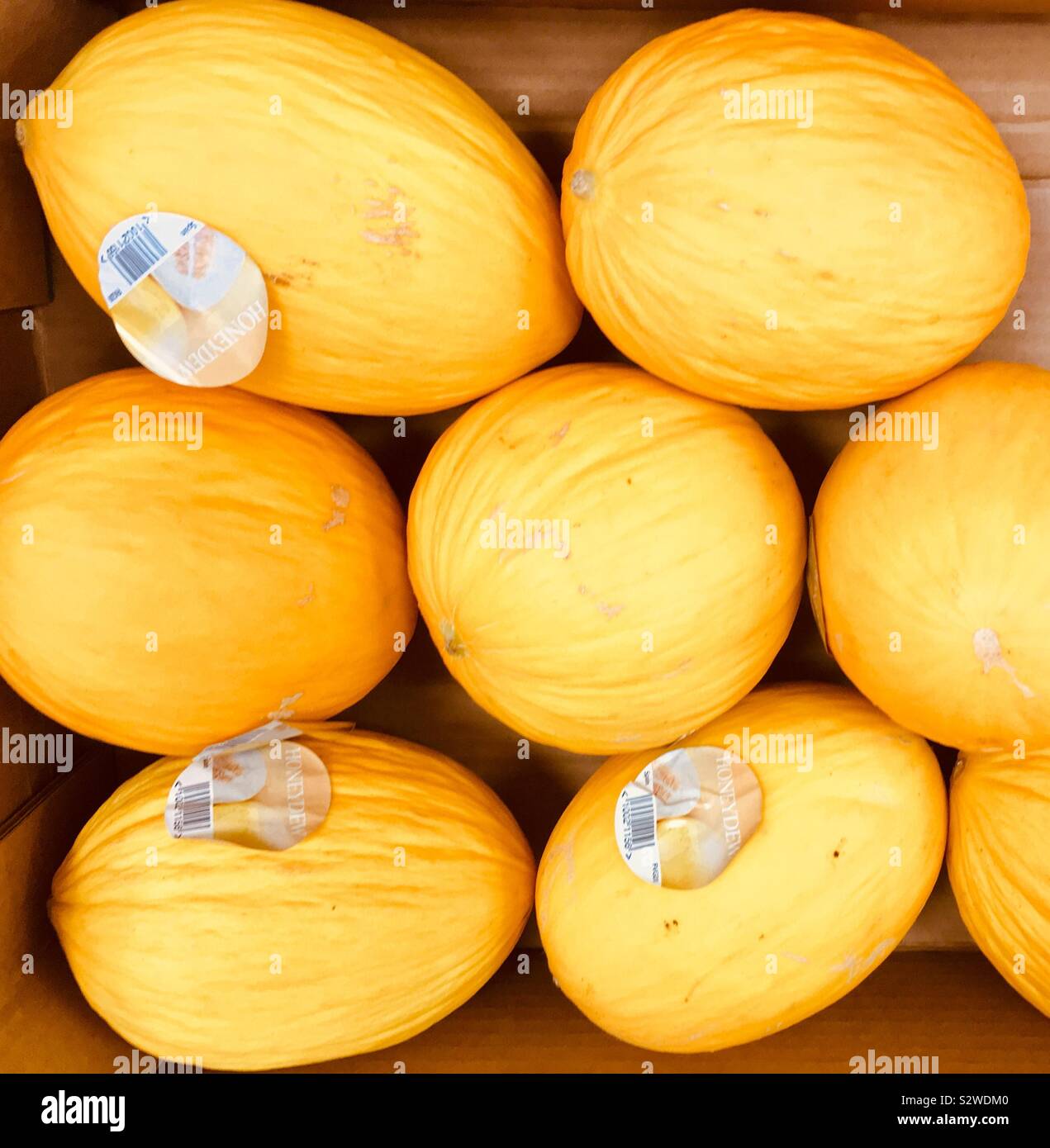 Assortment of colourful and fresh grocery on display for sale at ...