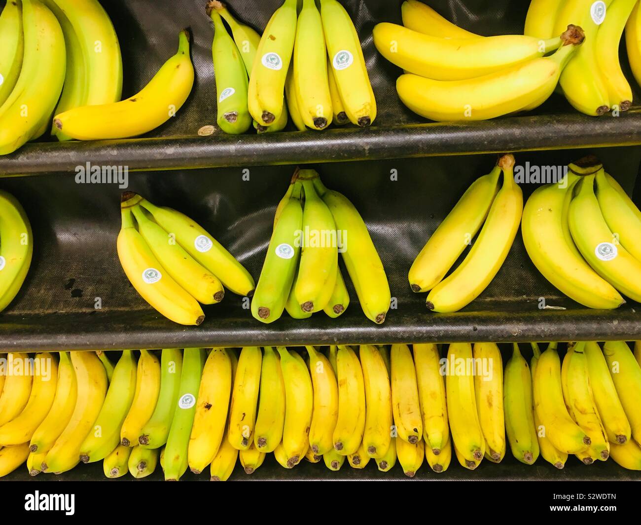 Bananas on the shelf hi-res stock photography and images - Alamy