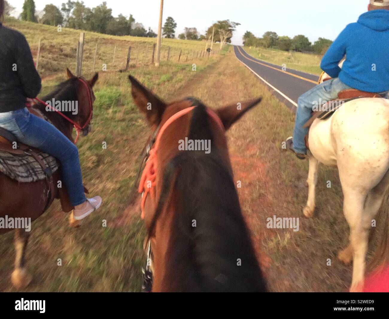 Group of people riding horses Stock Photo - Alamy