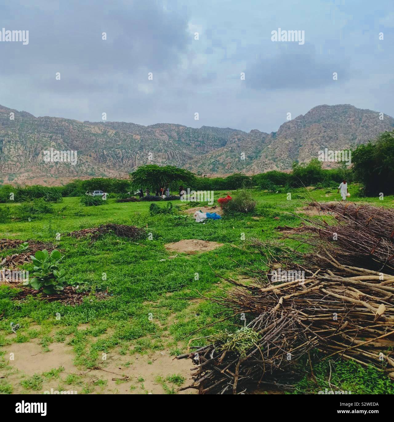 Thar, the beauty of Sindh Pakistan Stock Photo - Alamy